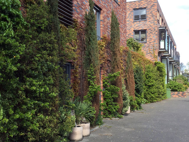 Geveltuin - Hitte.nl